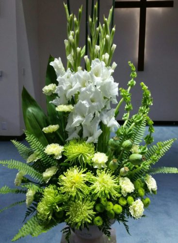 100 cele mai frumoase imagini cu flori | ThePOC