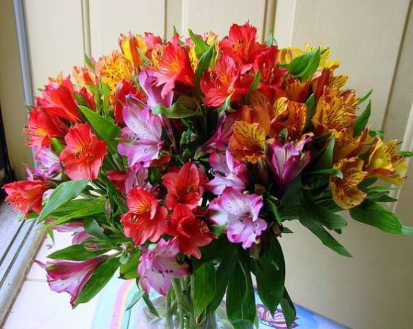 30 de poze cu flori superbe – ThePOC