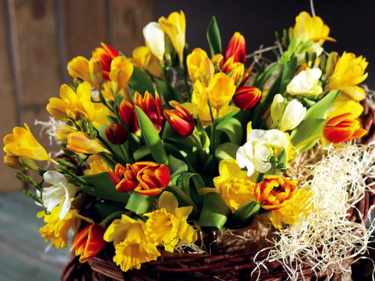 30 de poze cu flori superbe – ThePOC