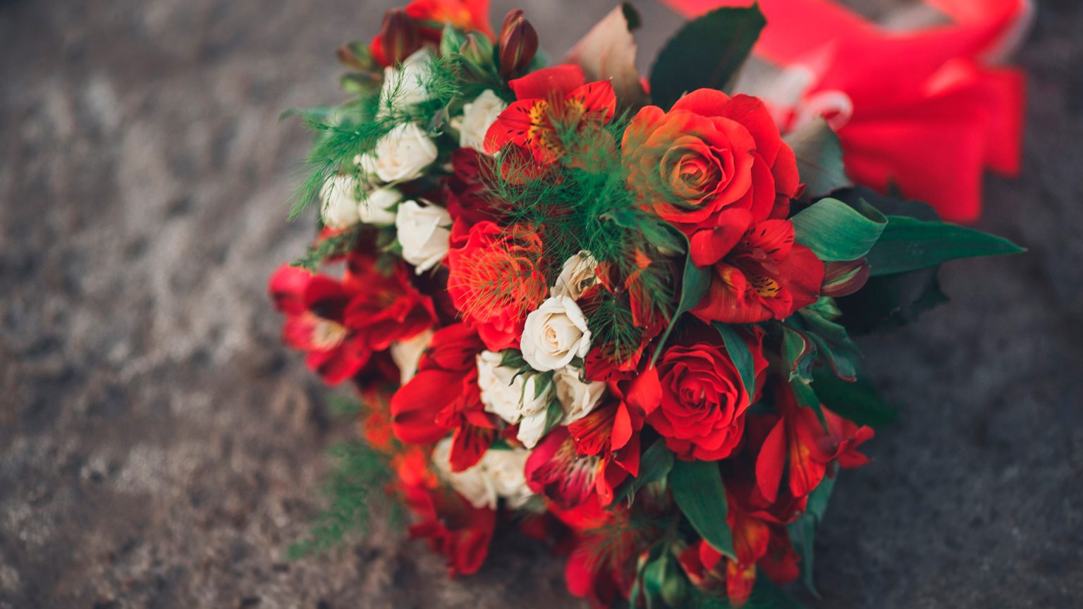 Poze cu flori (28 imagini) download | ThePOC